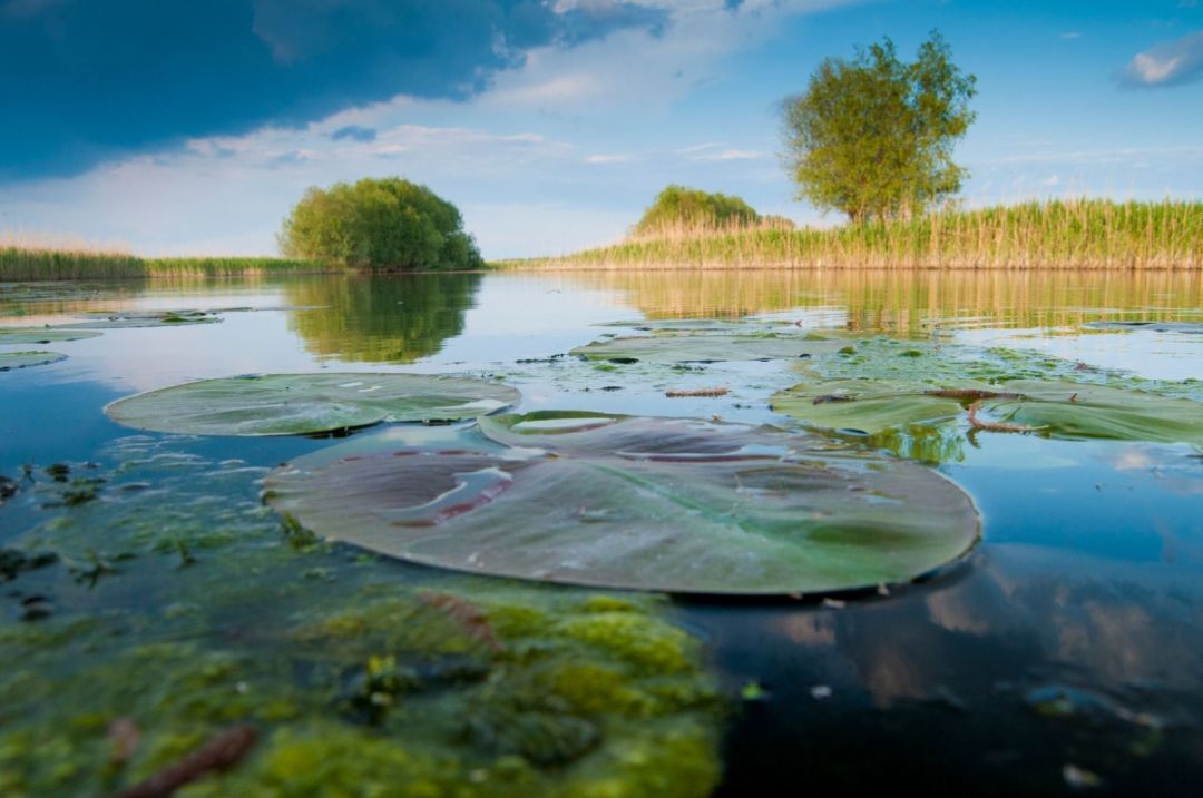 Consiliul Județean Tulcea va promova turismul din Delta Dunării și ...